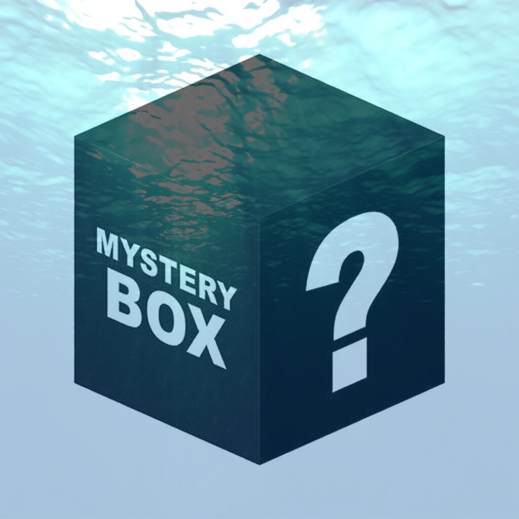 WAVY BOX (WavPaK) – Wavenchy